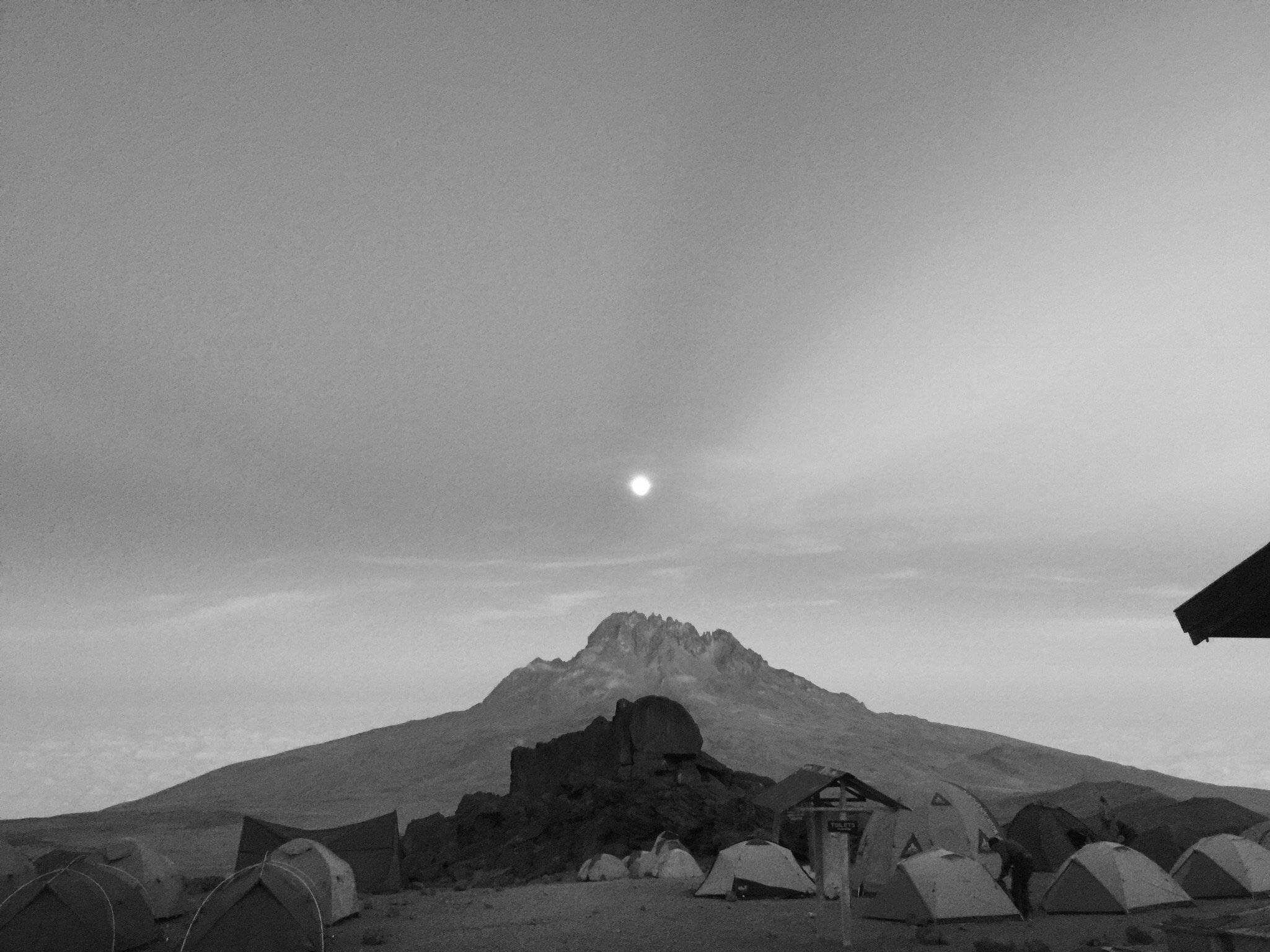 Projects – AMY SHEA | WRITER, EDUCATOR, ADVOCATE